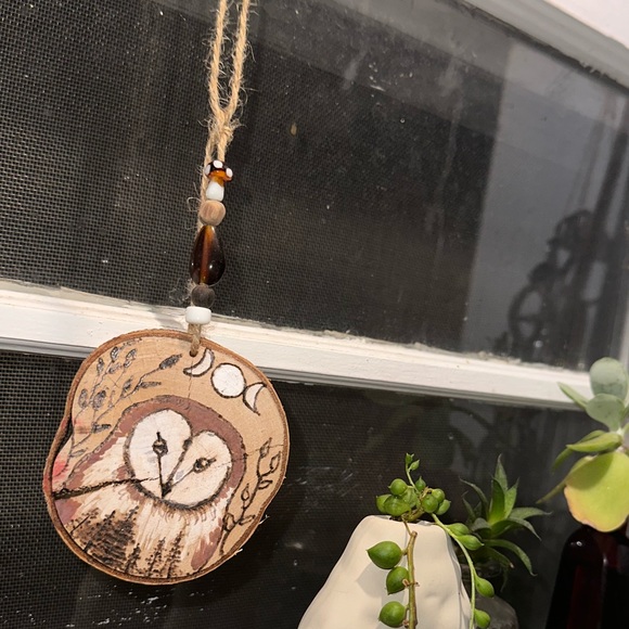 Art | Handmade Birch Tree Disk With Wood Burned Then Painted Owl Luna ...
